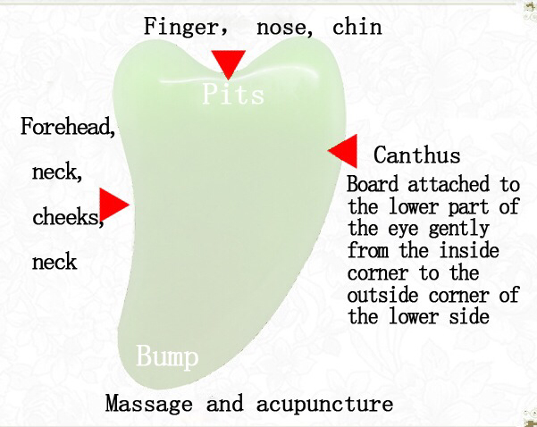 Gua Sha (Scraping) – So's Chinese Medicine /Traditionele Chinese ...